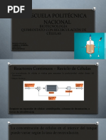 Modelo de Monod | PDF | Ecuaciones | Science