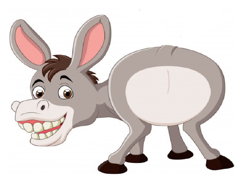 Burro | PDF