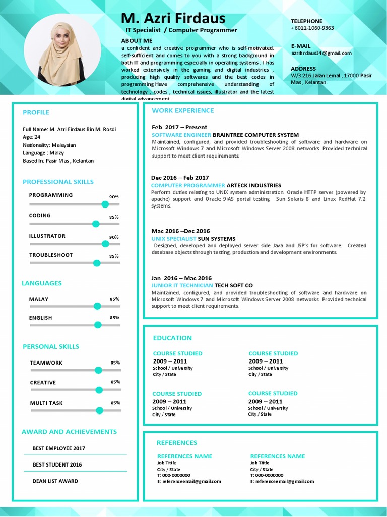 Work Experience Profile: IT Specialist / Computer Programmer | PDF ...