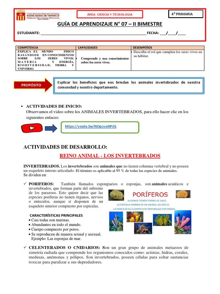Guía de Animales Invertebrados | PDF | Esqueleto | Invertebrado