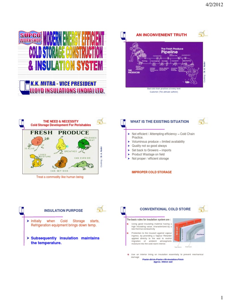 Cold Storage Slides | PDF | Polystyrene | Thermal Insulation