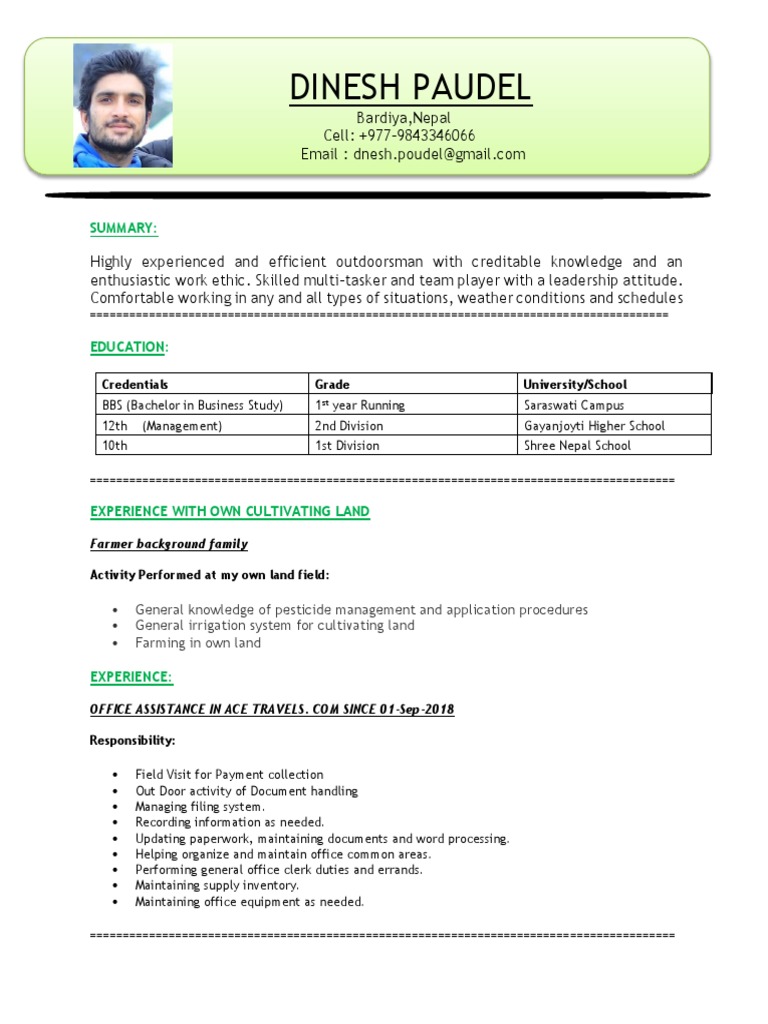Dinesh CV Uk | PDF