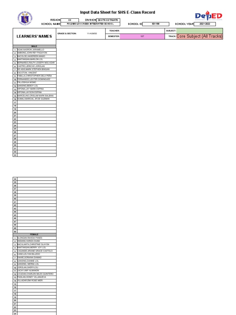 Input Data Sheet For SHS E-Class Record: Learners' Names | PDF