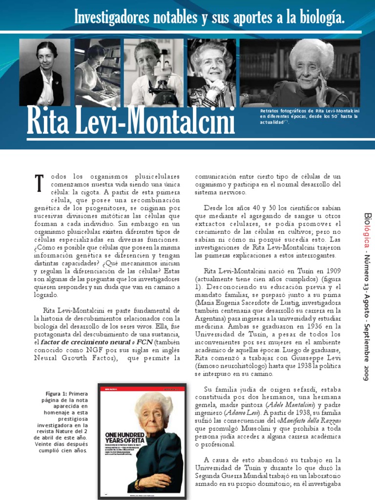 Rita Levi-Montalcini (Investigadores notables y sus aportes a la ...