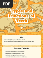 Animal Teeth Comparison: Types & Functions | PDF | Tooth | Dental Anatomy