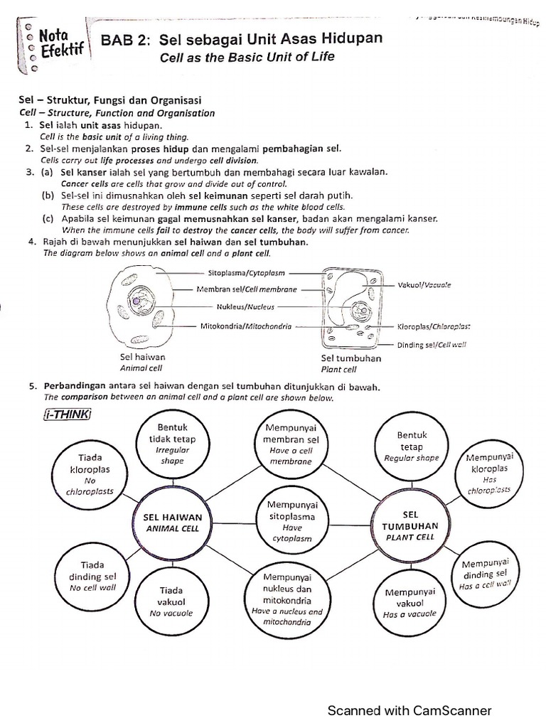 Form 1 Sains | PDF