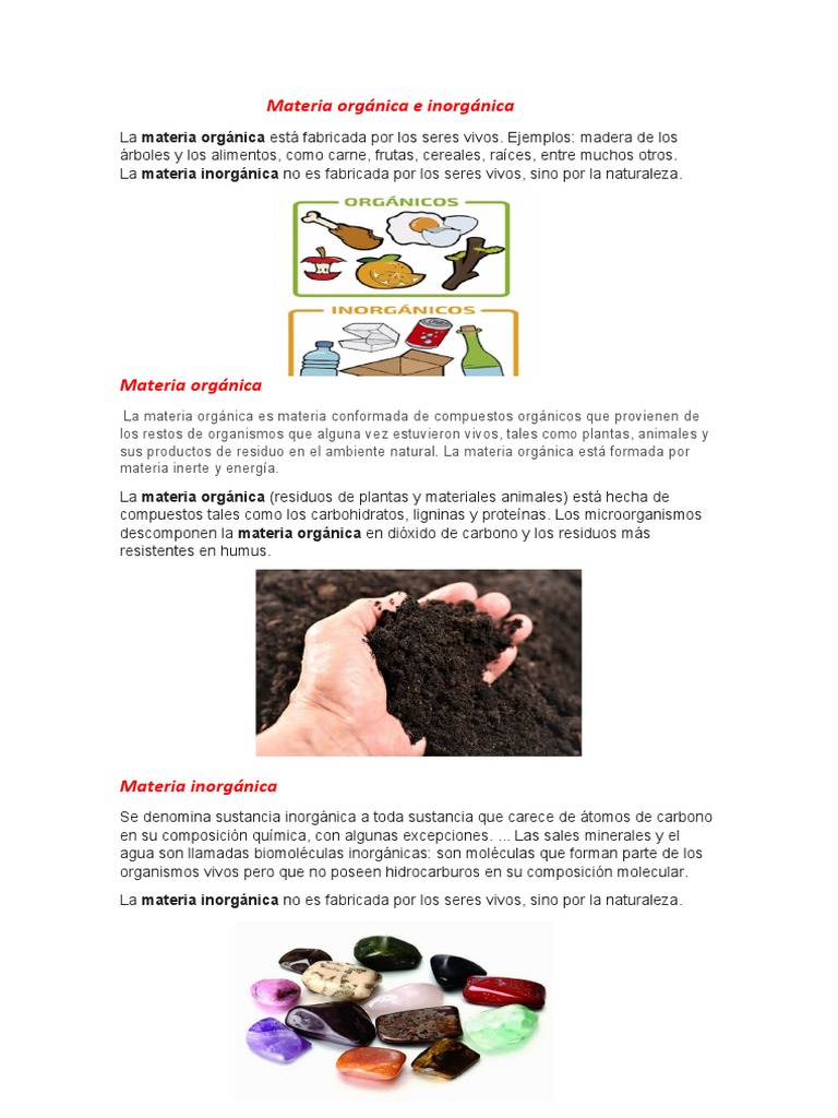 Materia Orgánica e Inorgánica | PDF