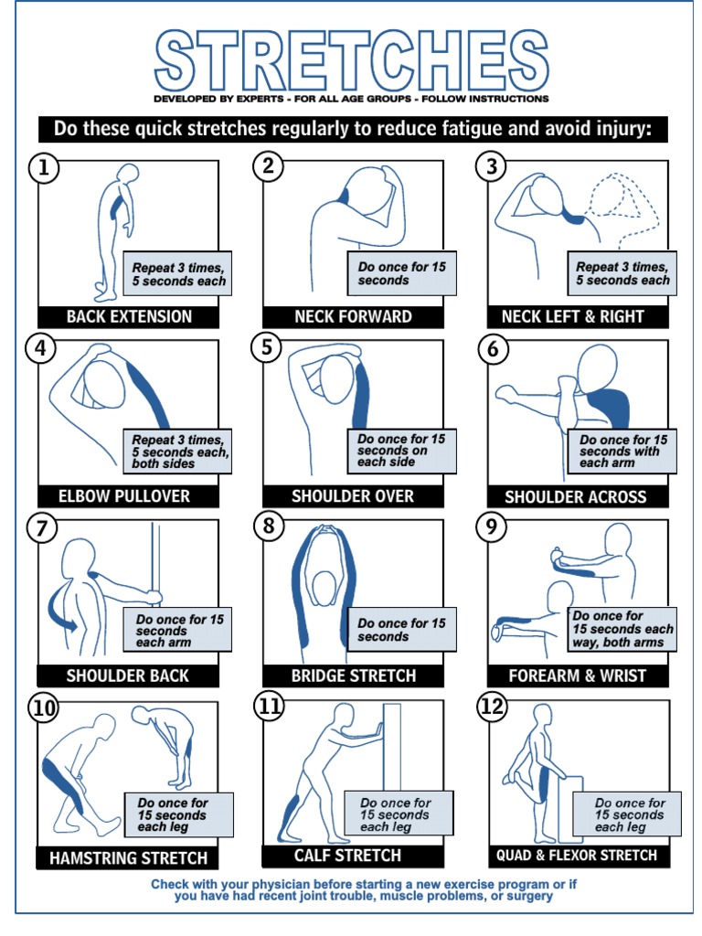 12 Stretches for All Ages | PDF | Anatomical Terms Of Motion | Hand
