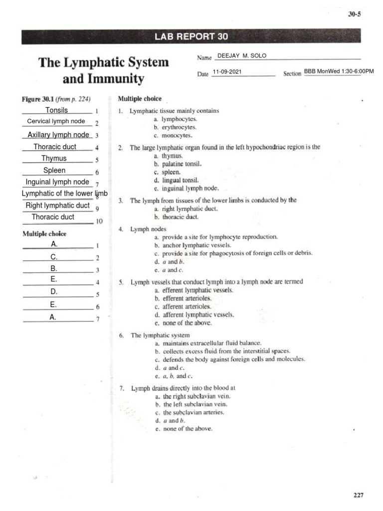 Lab Report 30 Lymphatic System | PDF | Lymphatic System | Clinical Medicine