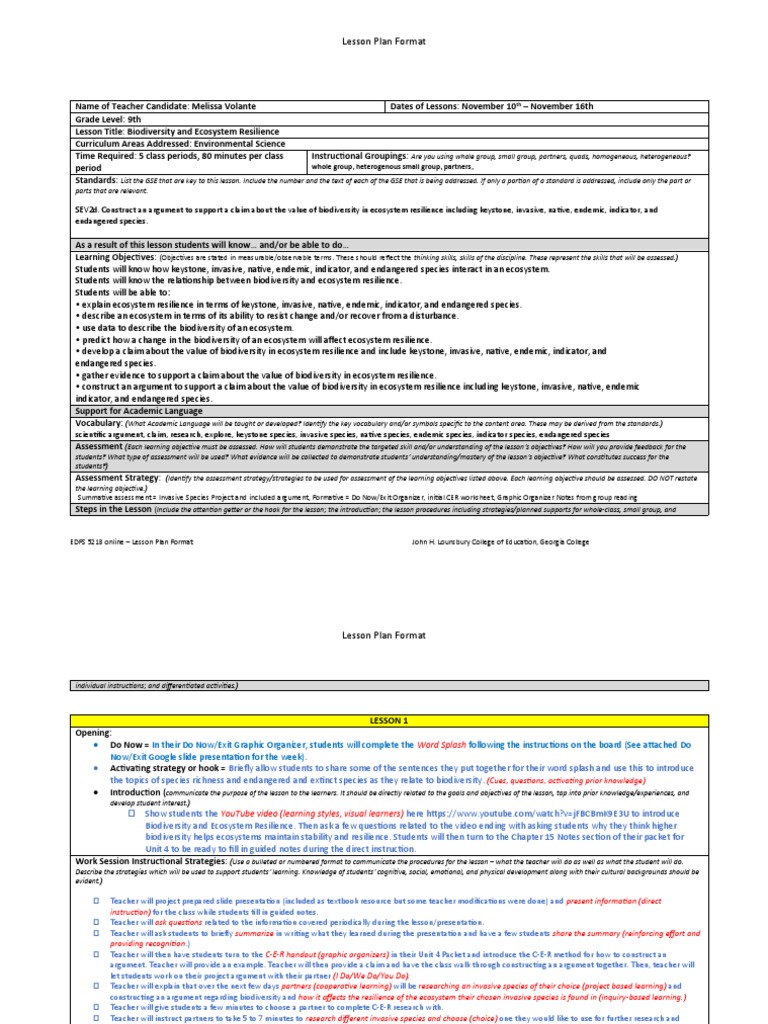 Lesson Plan Format: Whole Group, Heterogenous Small Group, Partners | PDF | Constructivism ...