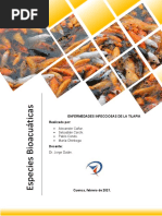 Inserto Levoferin Jarabe | PDF | Medicamentos con receta | El embarazo