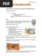 Arco de Riolano PDF | PDF | Intestino grueso | Bazo