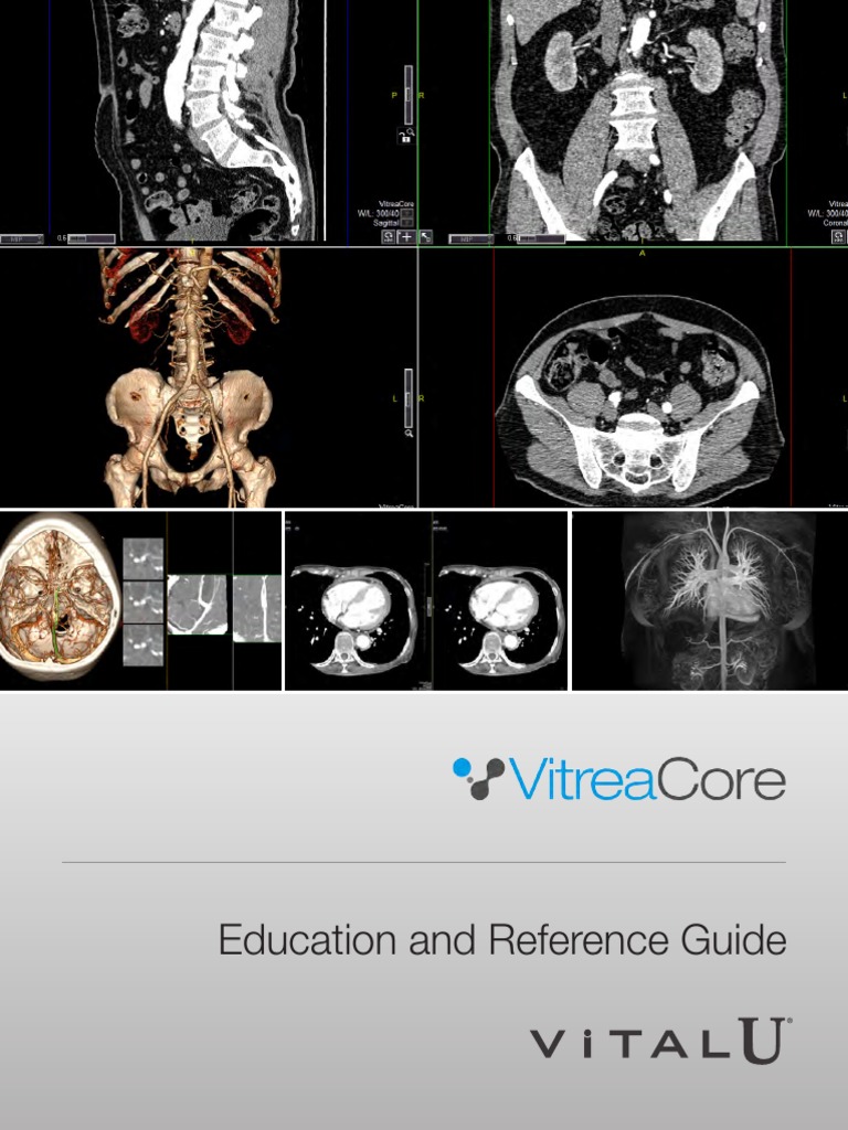 VitreaCoreEDUCATION REFERENCE GUIDE | PDF | Trade Secret | Computer ...