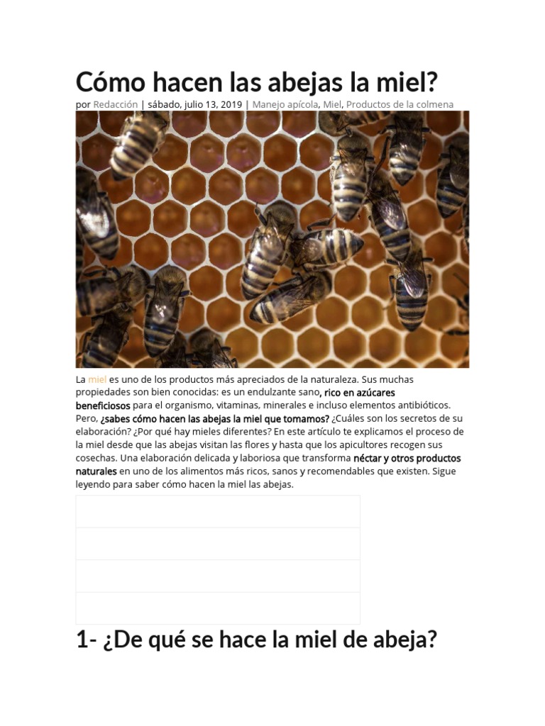 Cómo Hacen Las Abejas La Miel | PDF | Miel | Apicultura