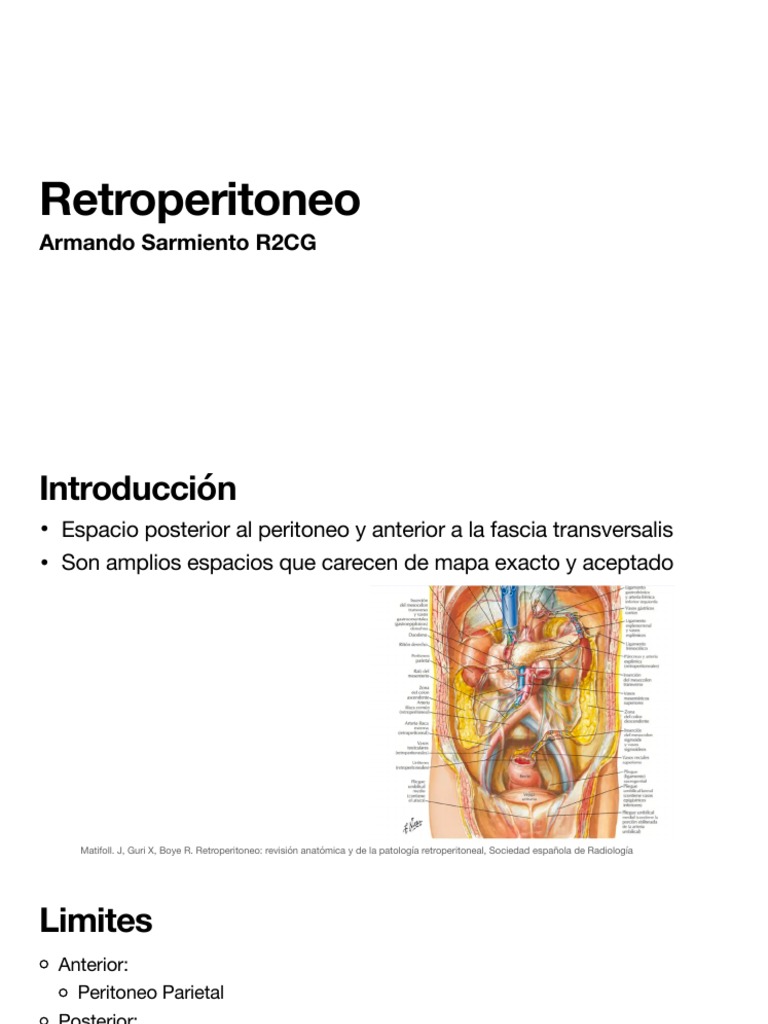 Retroperitoneo | PDF | Órgano (anatomía) | Anatomía humana