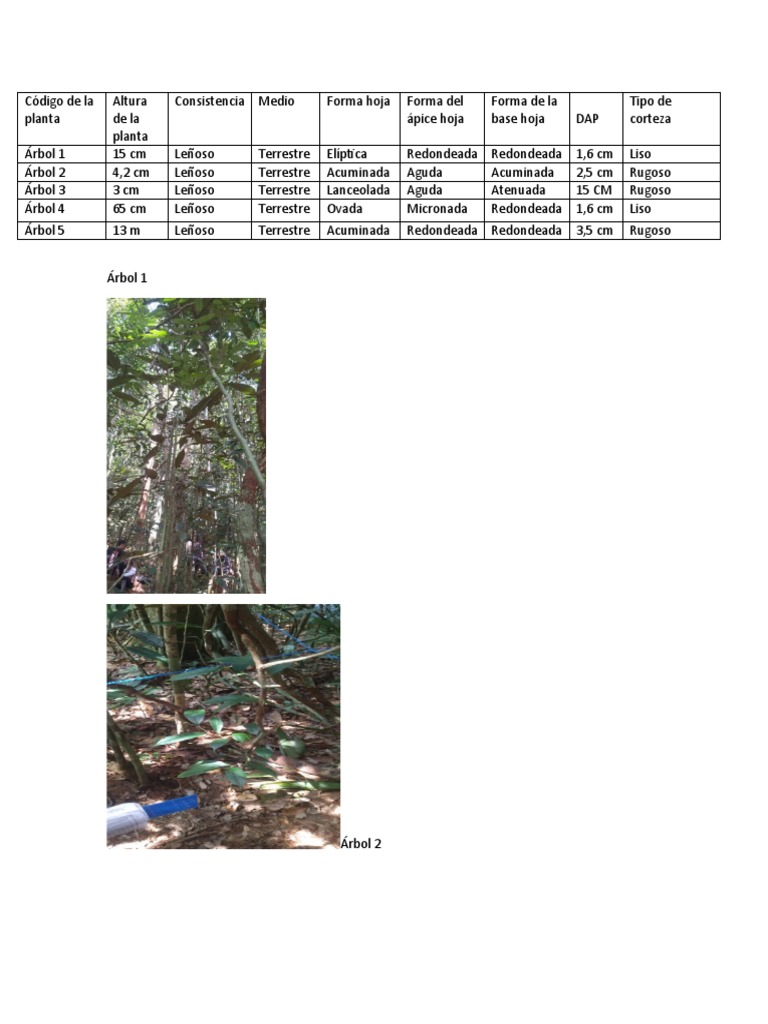 Código de La Planta | PDF
