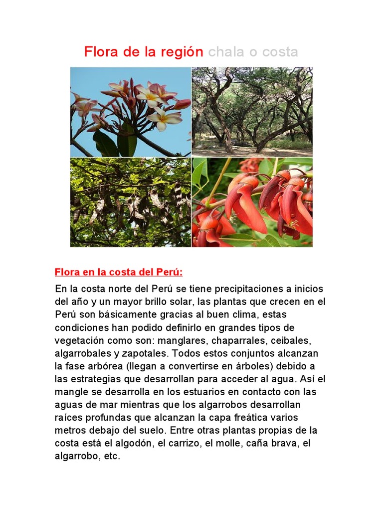 Flora de La Región Chala o Costa | PDF