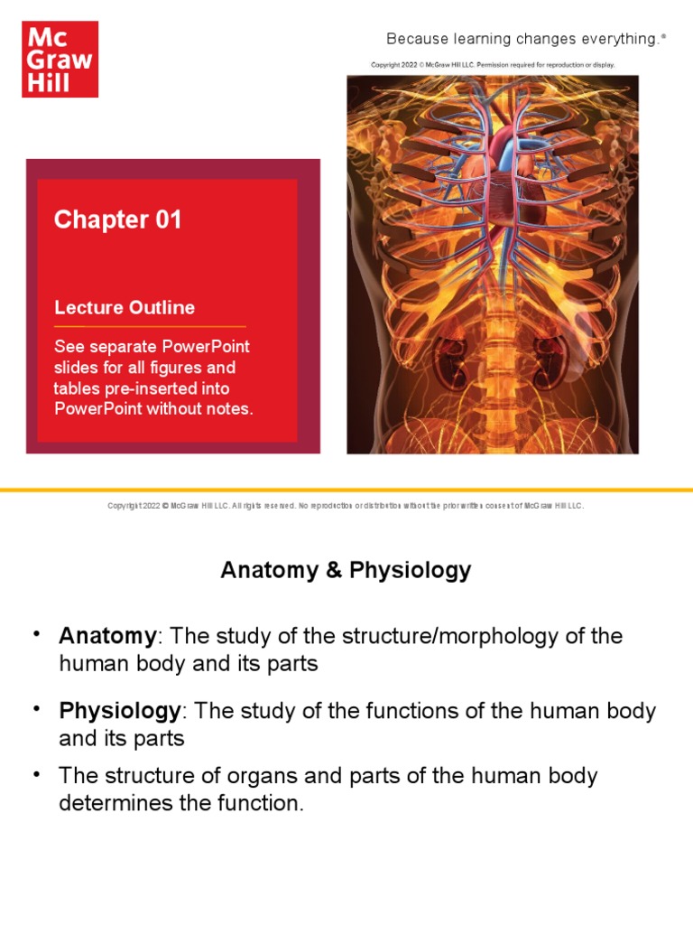 Chapter 1 Introduction To Anatomy and Physiology | Download Free PDF ...