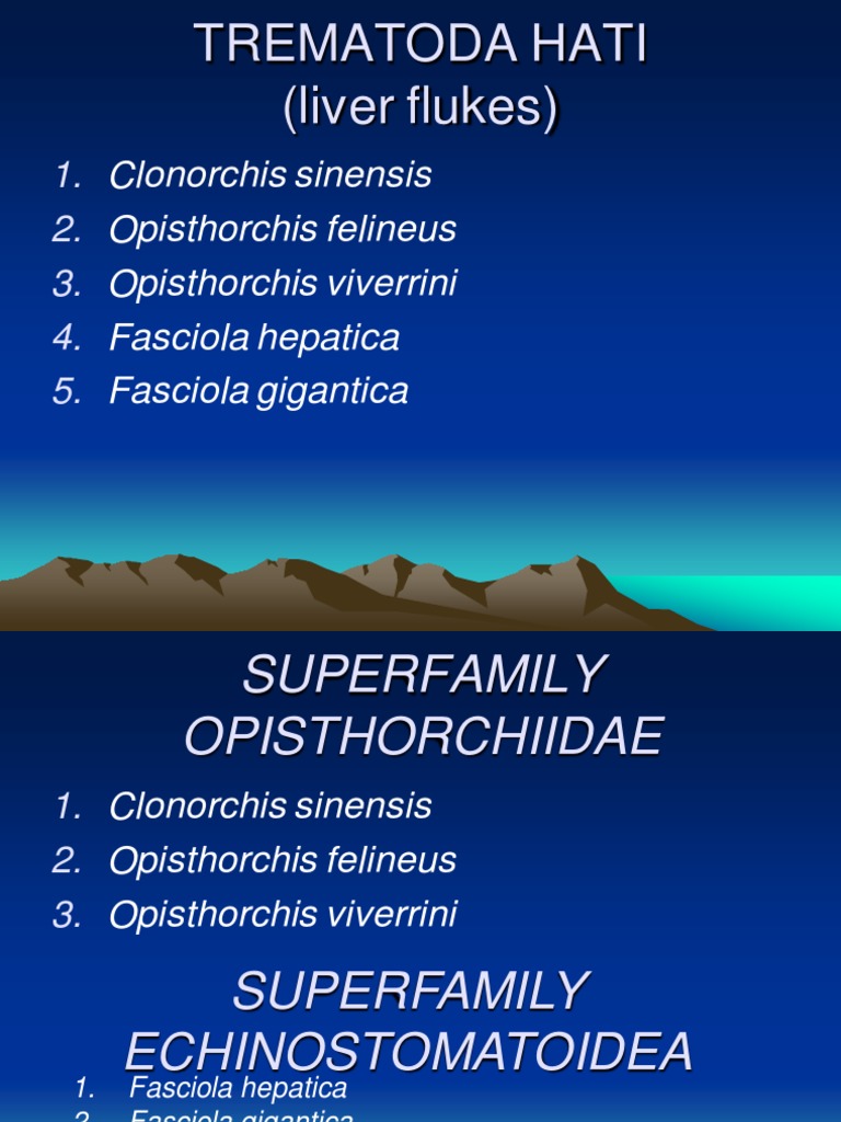 Epidemiologi dan Morfologi Trematoda Hati | PDF | Sains & Matematika