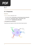 BTB Experiment: Photosynthesis & Respiration | PDF | Photosynthesis ...