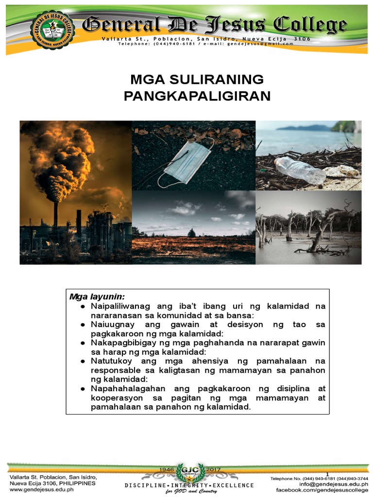 1.) Disaster Risk Mitigation Module | PDF
