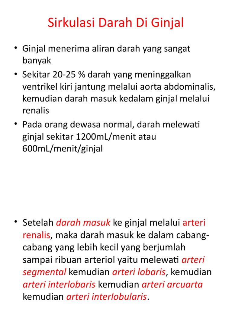 Sirkulasi Darah dan Vaskularisasi Ginjal | PDF