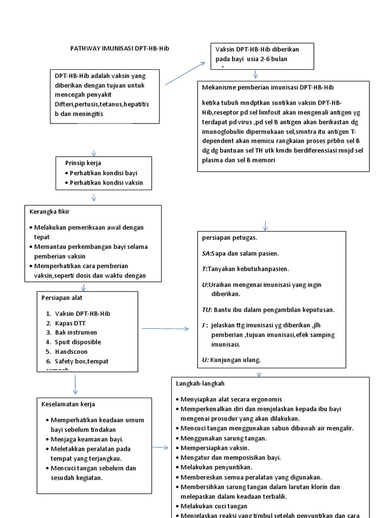 Pathway Imunisasi DPT Hib HB | PDF