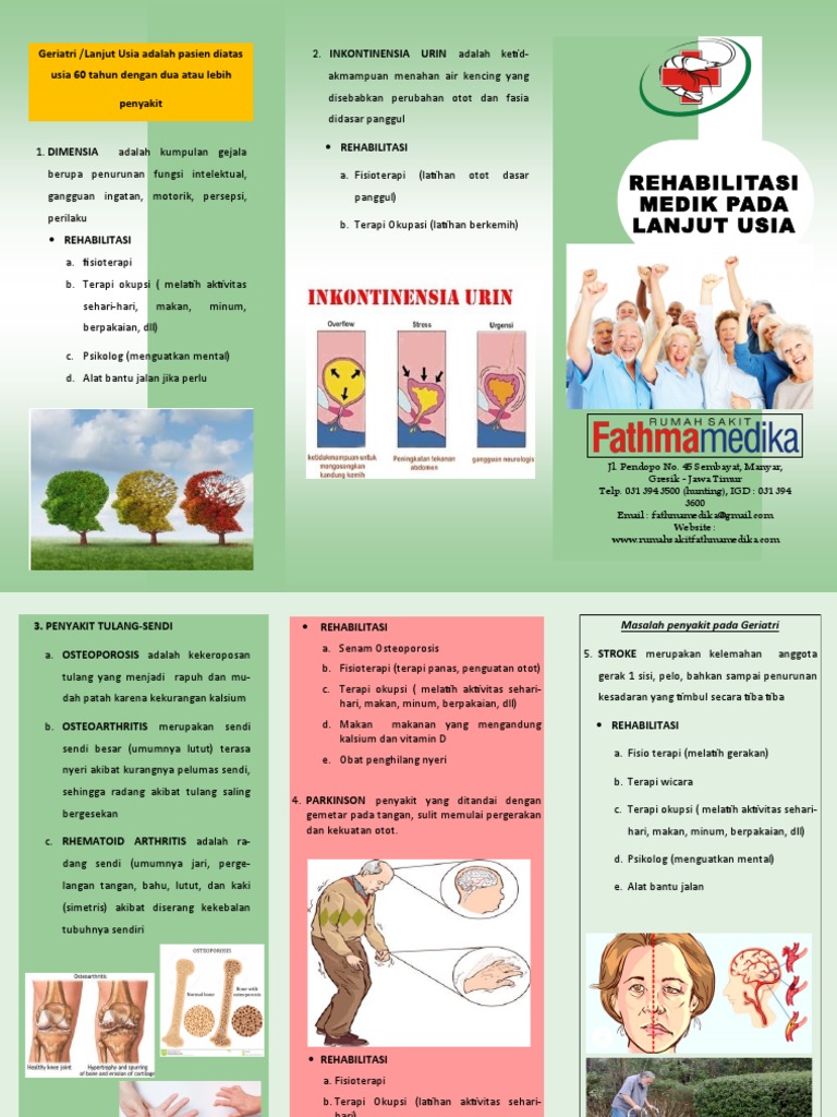 Rehabilitasi Medik Pada Geriatri | PDF