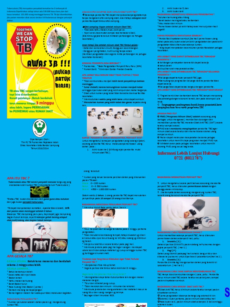 Leaflet TB FIX | PDF