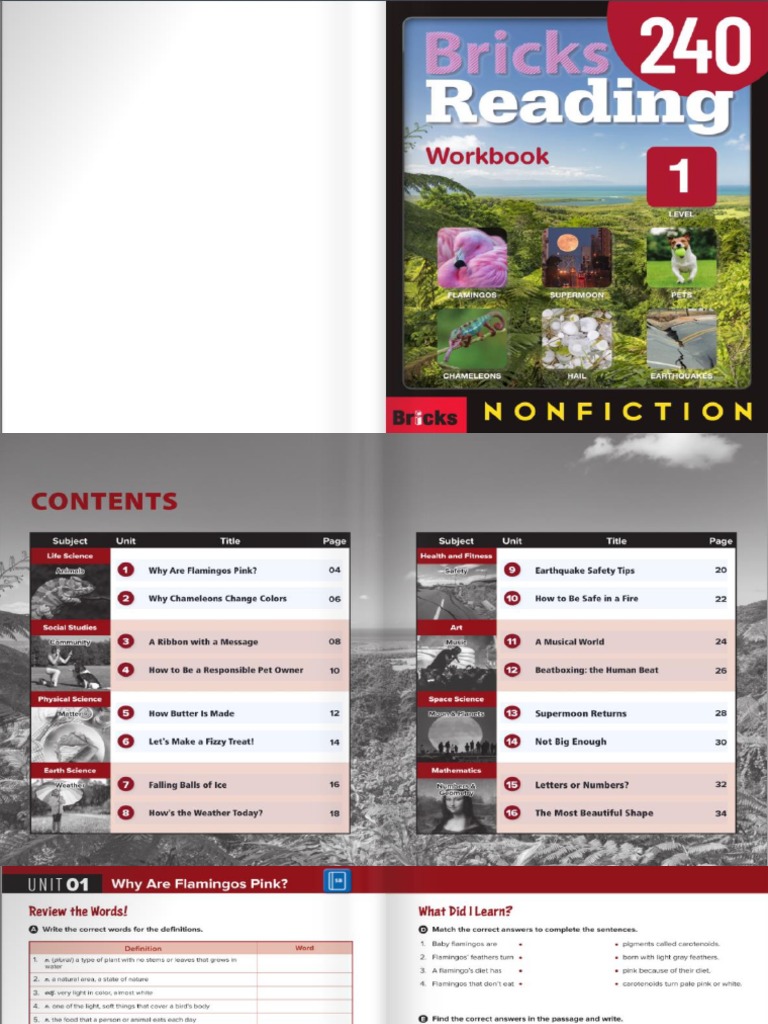 Bricks Reading 240-1 WB | PDF