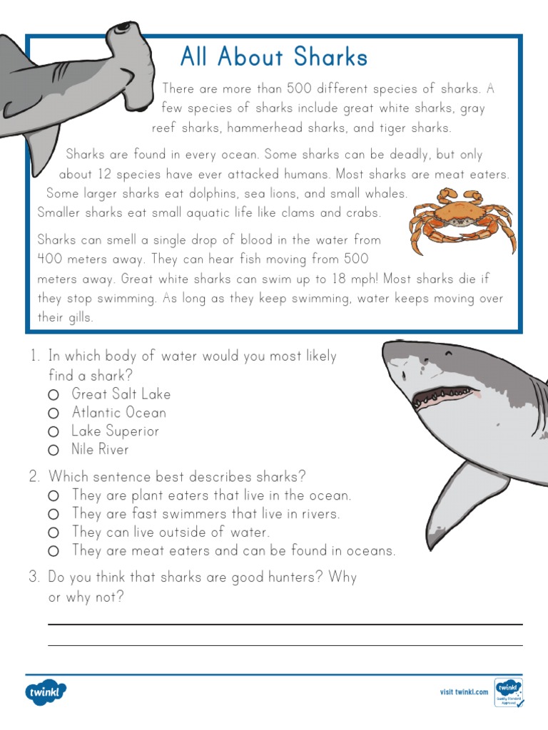 Second Grade All About Sharks Reading Passage Comprehension Activity | PDF