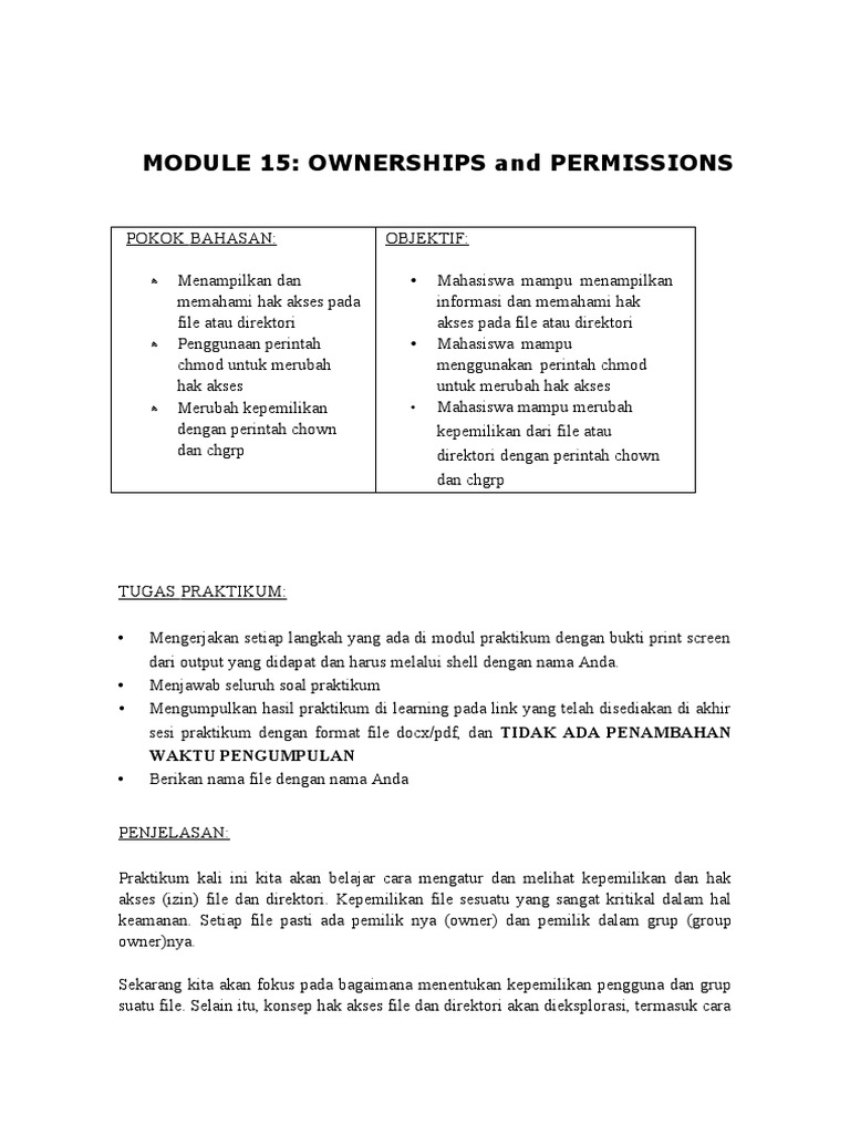 Ownership and Permissions | PDF