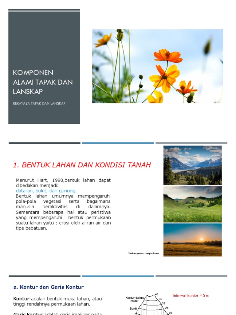 Garis Vegetasi pada Bentuk Lahan Gunung | PDF