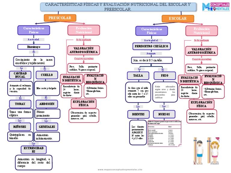 Plantilla Mapa Conceptual Powerpoint | PDF
