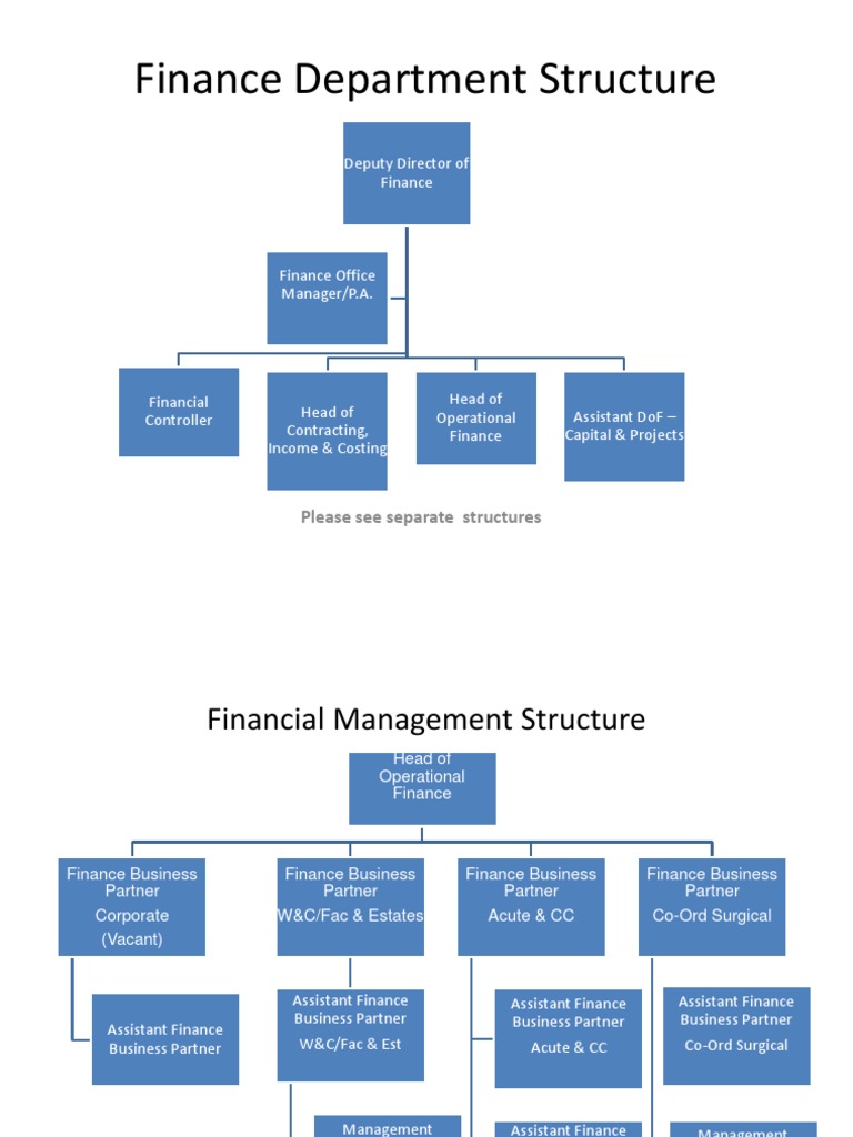 Finance Department Structure Overview | PDF | Economies | Money