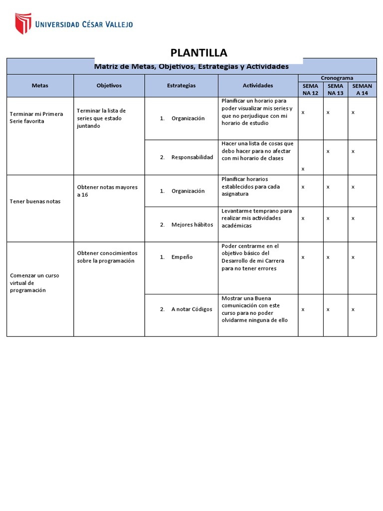 Matriz de Metas | PDF