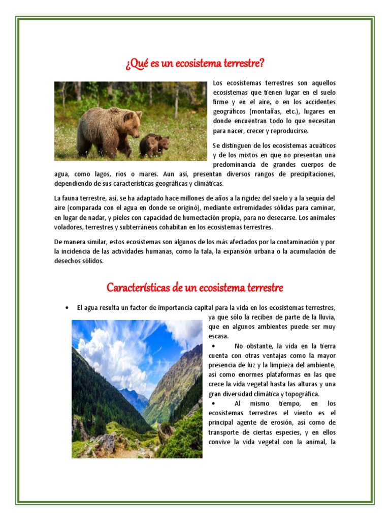 Qué Es Un Ecosistema Terrestre | PDF | Ecosistema | Suelo