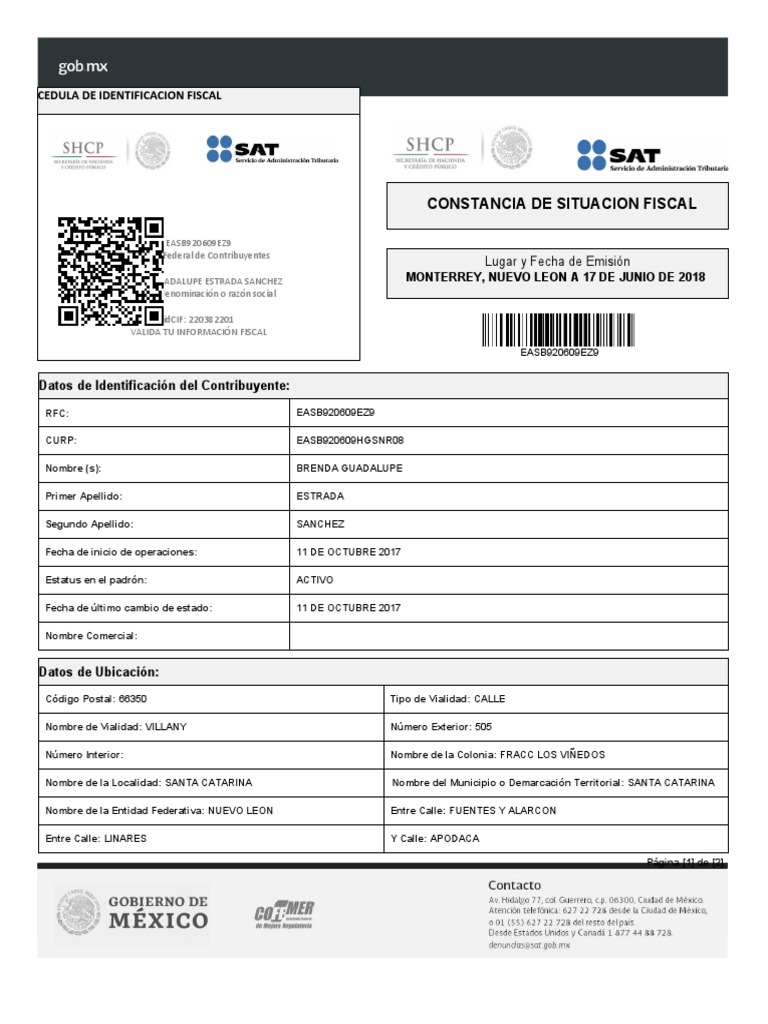 Ejemplo de RFC | PDF