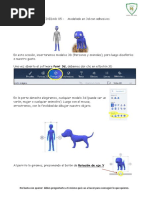 Introduccion A Blockcad | PDF | Juegos y actividades | Arte