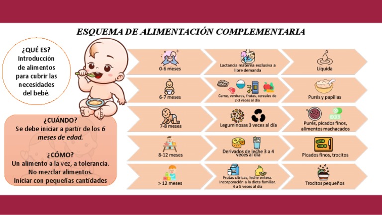 Esquema de Alimentación Complementaria | PDF