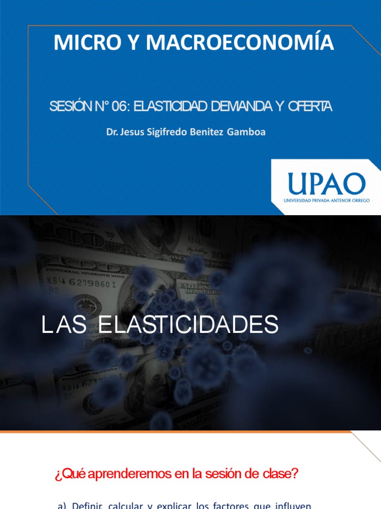 T SEM6. La Oferta y Elasticidades | PDF | Elasticidad (economía) | Mercado (economía)