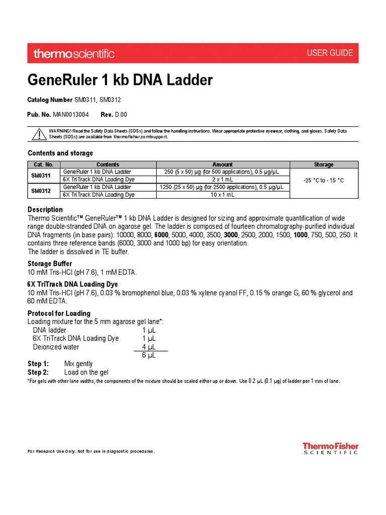 Generuler 1 KB Dna Ladder: Contents and Storage | PDF | Agarose Gel ...