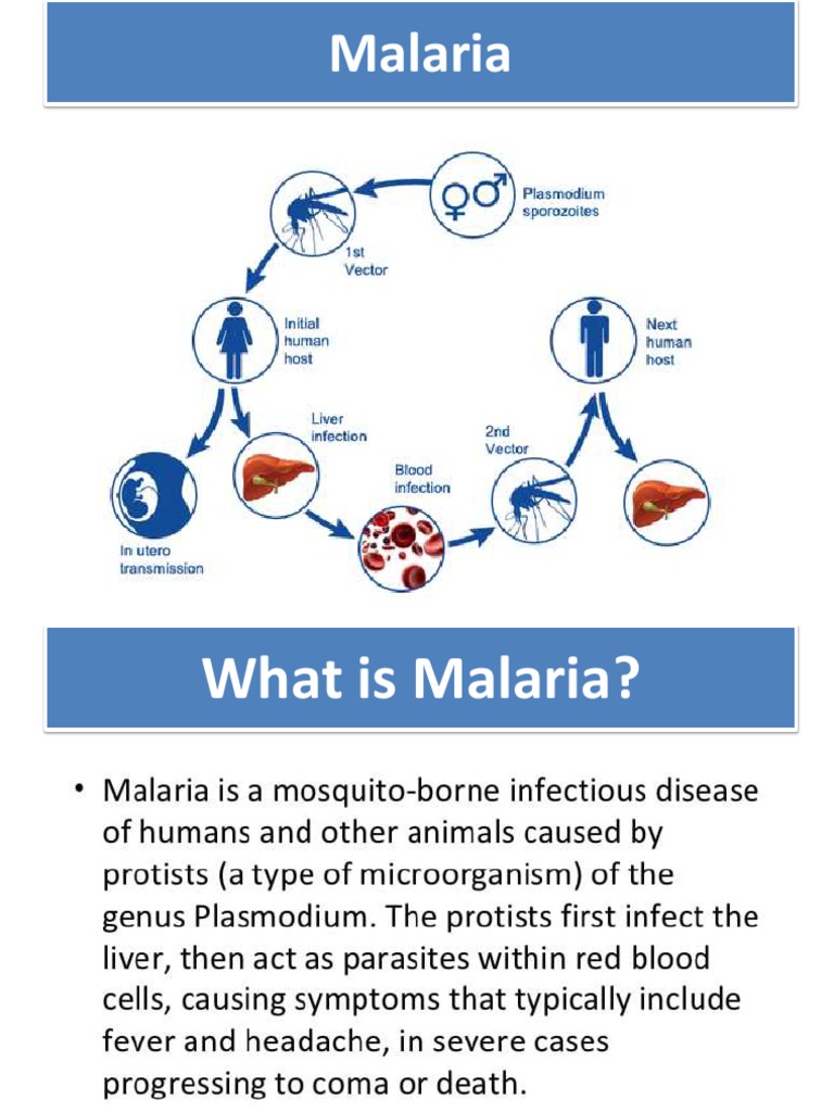 Malaria | PDF