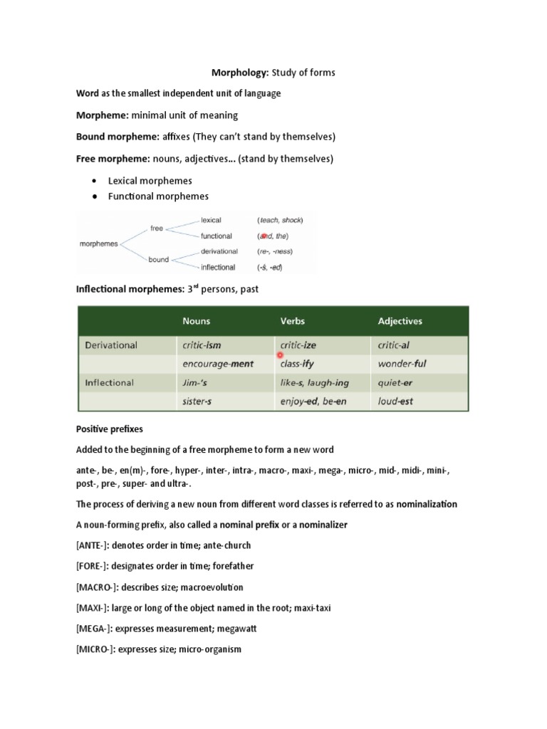 Morphology Study Of Forms Lexical Morphemes Functional Morphemes