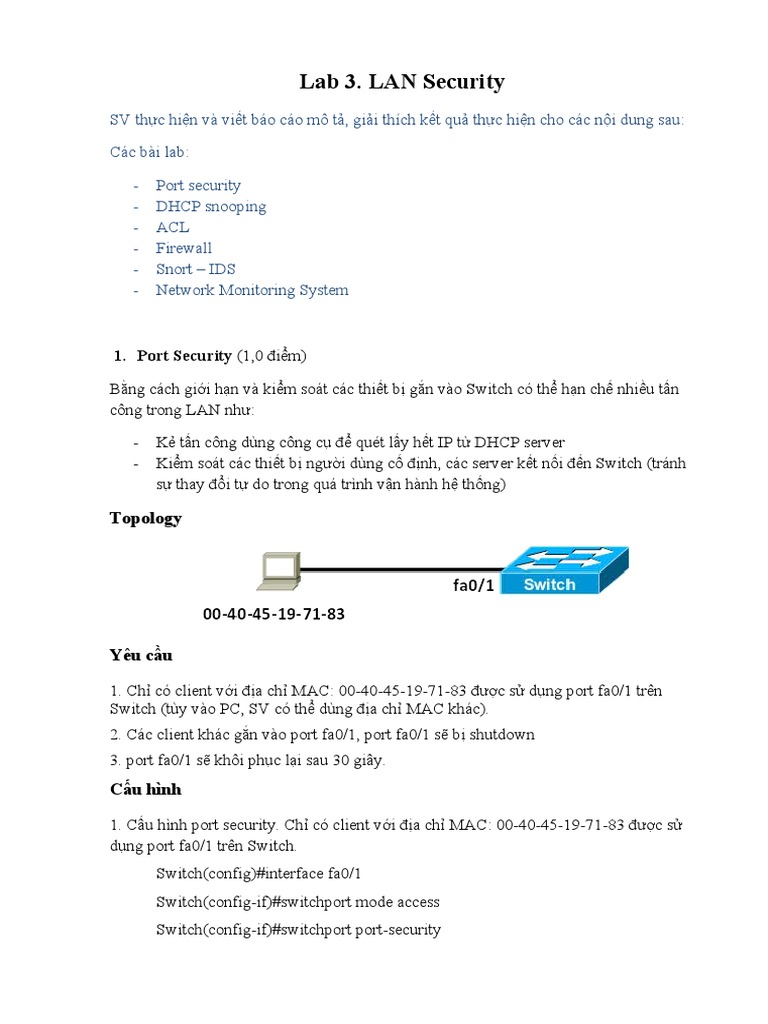 Lab3-LAN Security | PDF