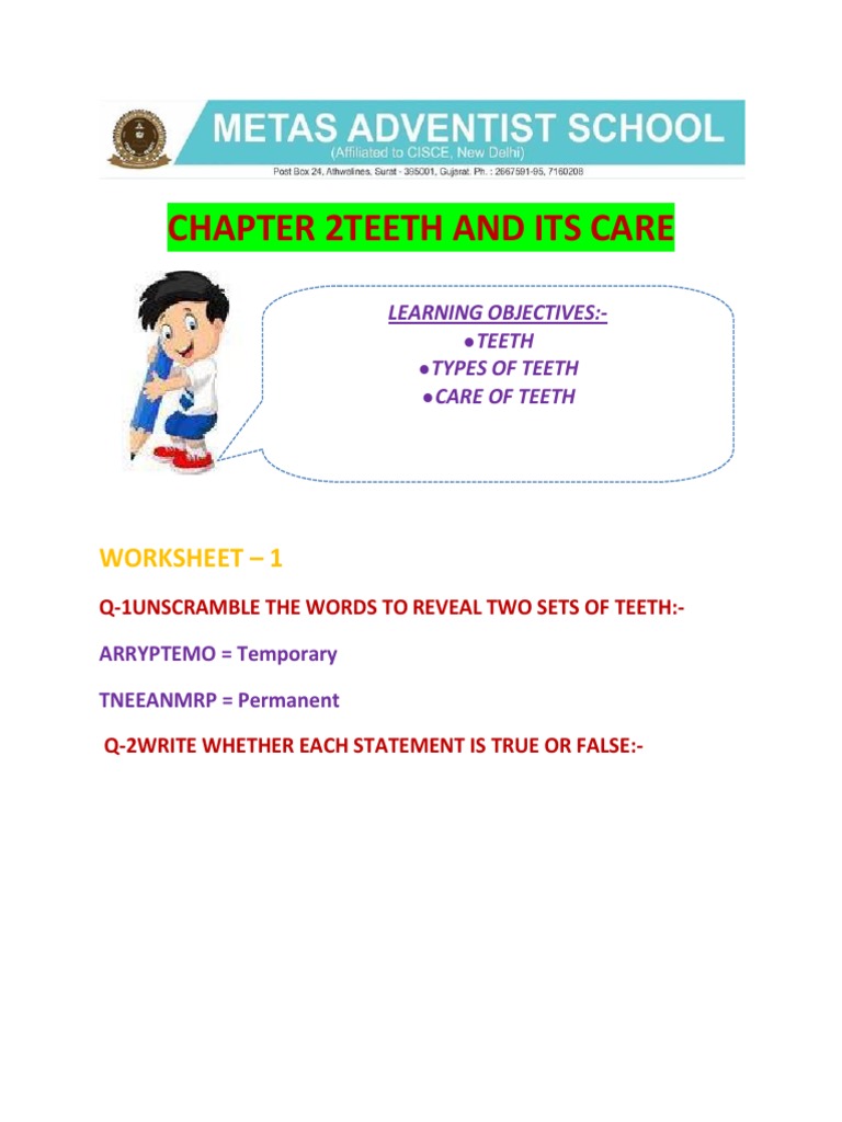 Class 4 Teeth Structure and Care Worksheet | PDF | Tooth | Tooth Enamel