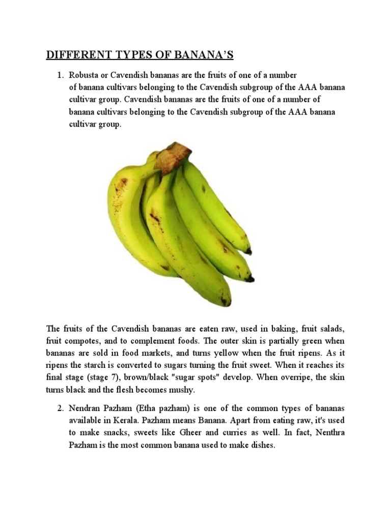 Different Types of Banana | PDF