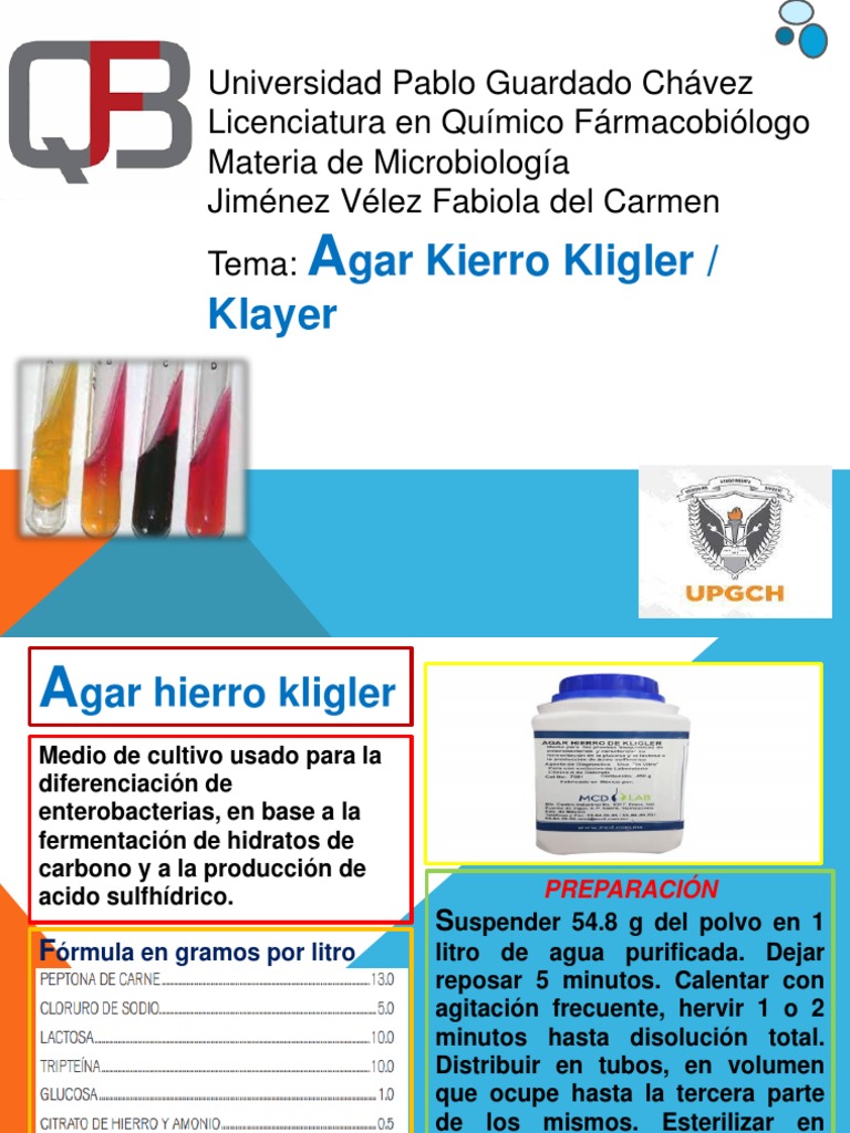 Prueba de Agar Hierro Kligler: Resultados y Uso | PDF