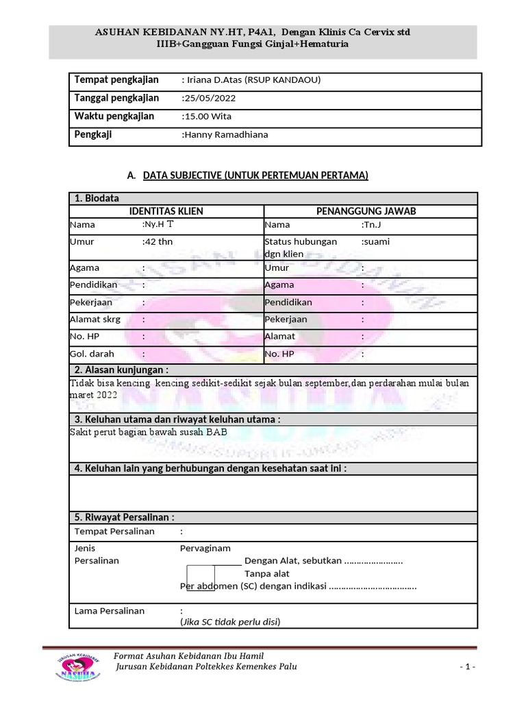 Format Askeb Nifas Word | PDF