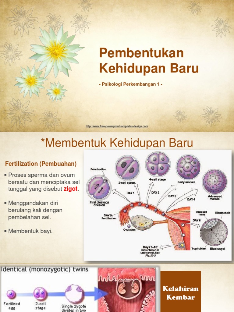 Pembentukan Kehidupan Baru Dan Kelahiran | PDF